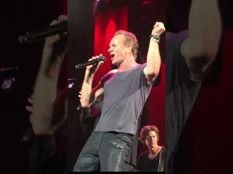 Sting Sings Sledgehammer 🔥
