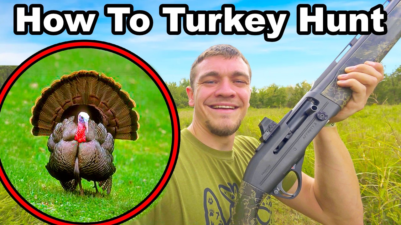 How To Turkey Hunt for Beginners!