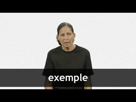 English Translation of “EXEMPLE” | Collins French-English Dictionary