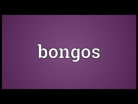 Bongos Meaning