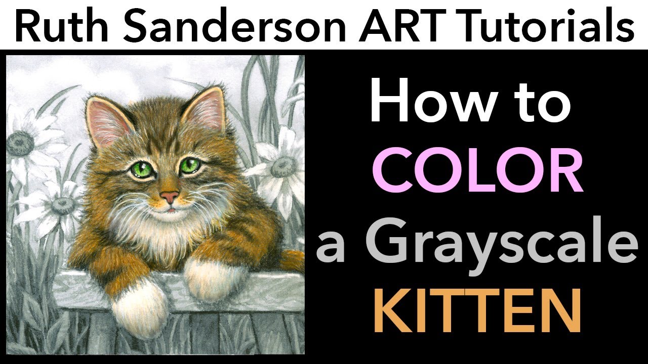 Coloring Fur and a Grayscale Kitten