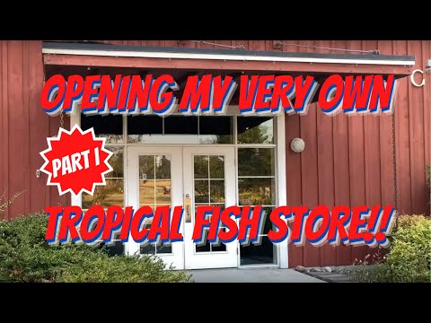 Opening my very own TROPICAL FISH SHOP! Part I