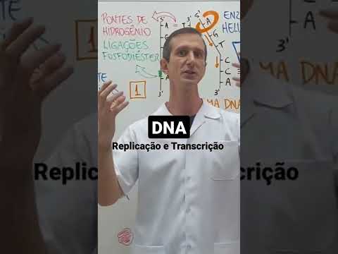 DNA (duplicação e produção de RNA)