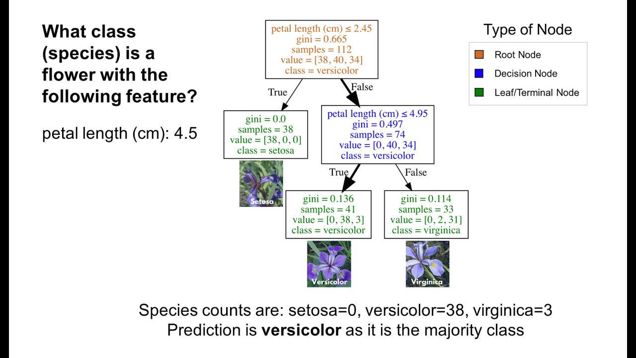 Understanding Decision Trees using Python (scikit-learn)