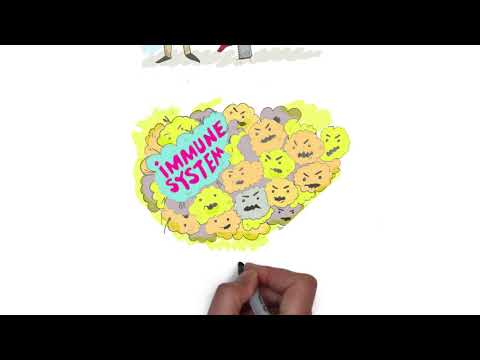 What is metabolism?