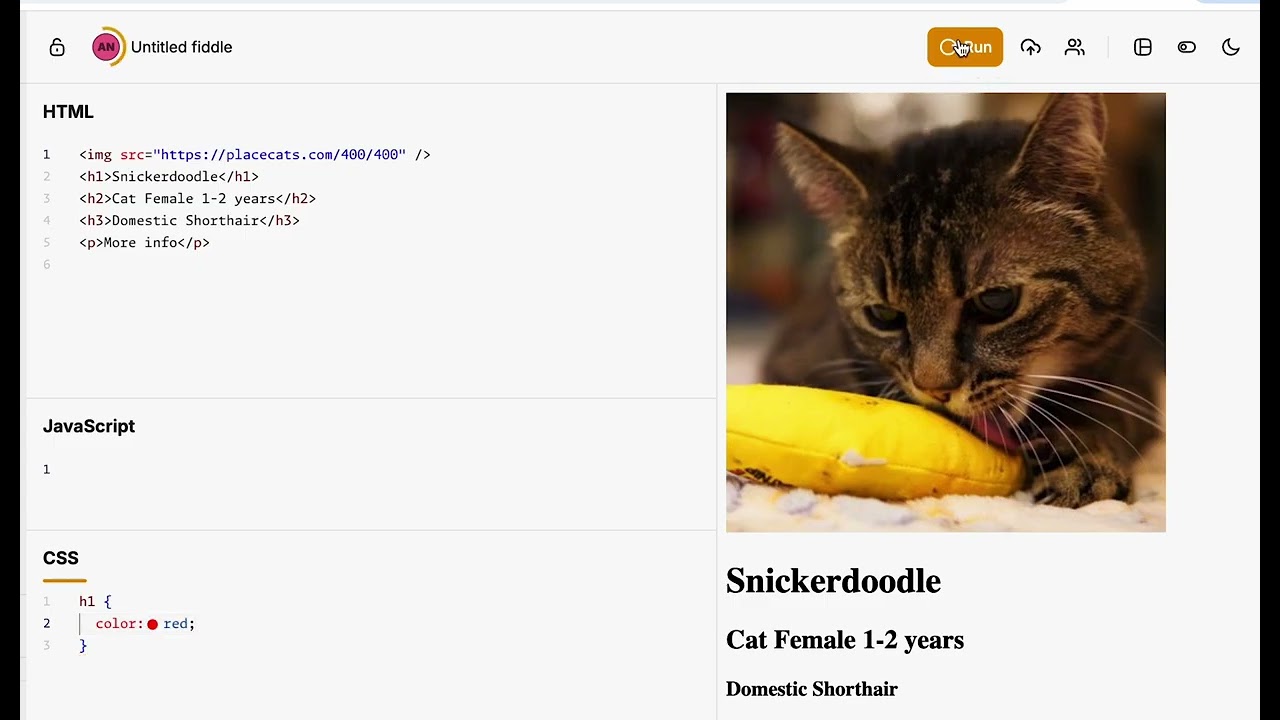 HTML and CSS basics using JSFiddle
