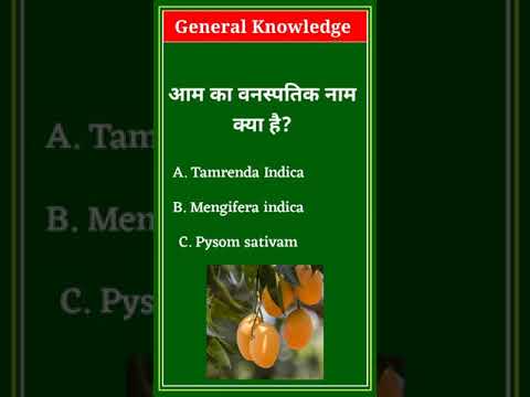 Botanical Name of Mango