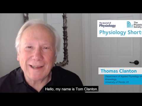 Physiology Shorts: Long-term effects of heat stroke on the myocardium