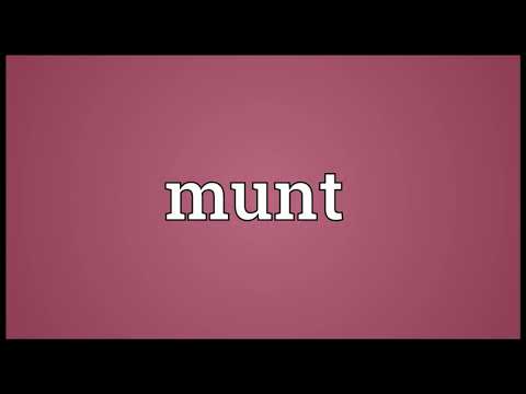 Munt meaning in english