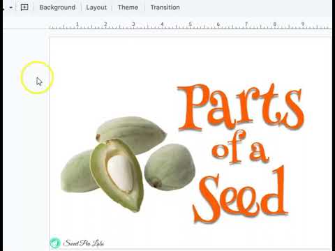 Parts of a Seed Assessment instructions