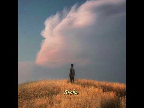 M. Lisa - Araba