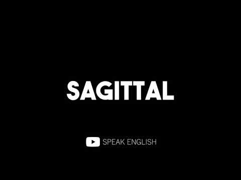 How to Pronounce Sagittal
