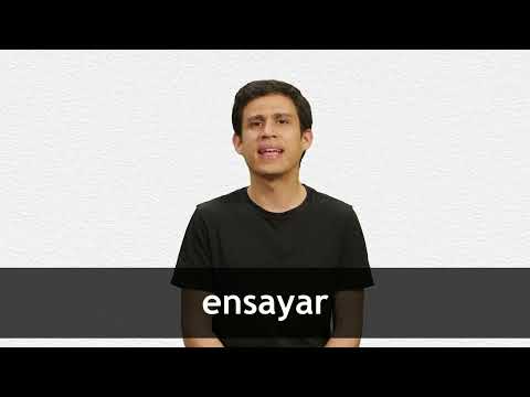 English Translation of “ENSAYAR” | Collins Spanish-English Dictionary