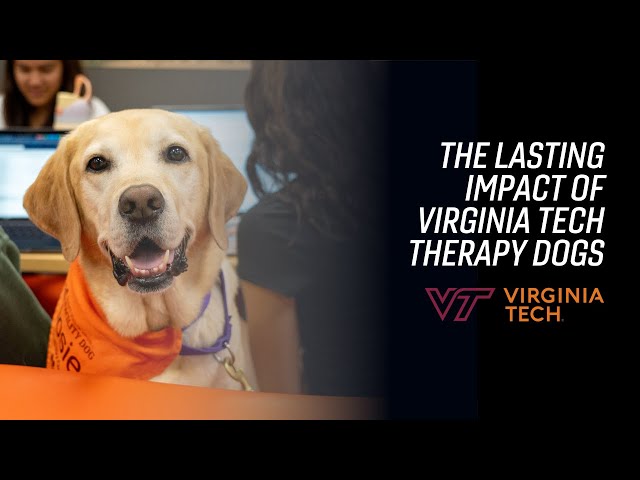 Digital Well-being Challenges encourage mindful device use | Virginia ...