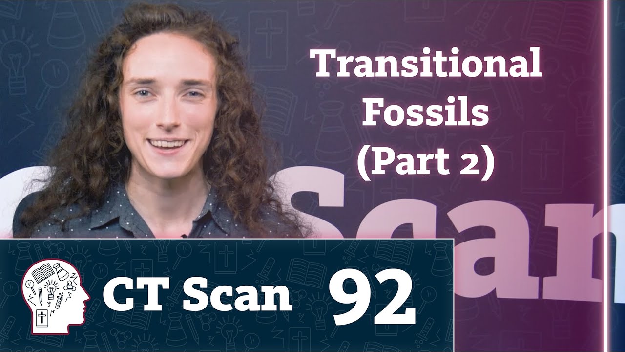 Here’s how to think biblically about “transitional fossils” (Episode 92)