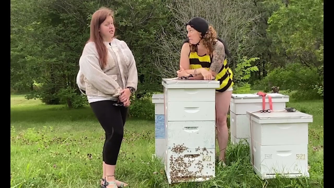 Dancing with the Bees  Lessons from the Hive