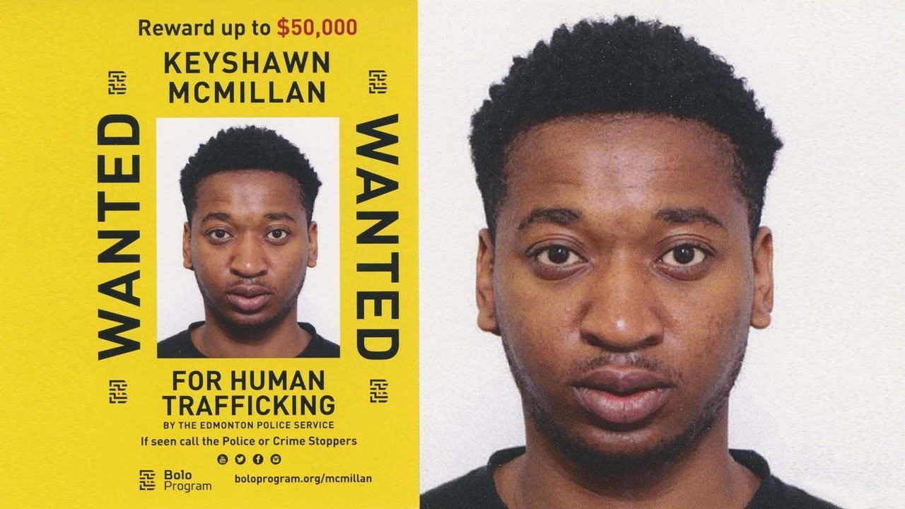 Bolo Program - Updates