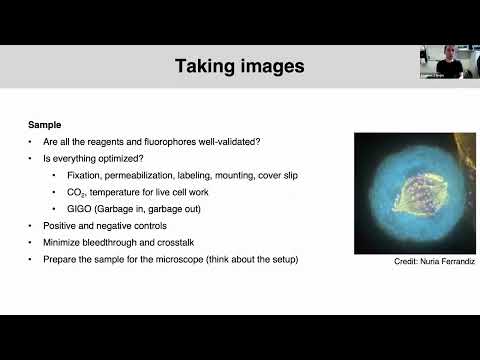 Videotape: From Microscope To Figure – quantixed