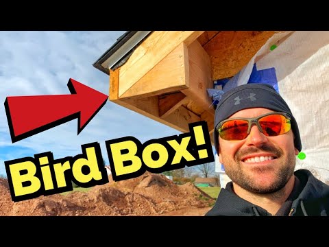 How To Build A Bird Box For Soffit On A House