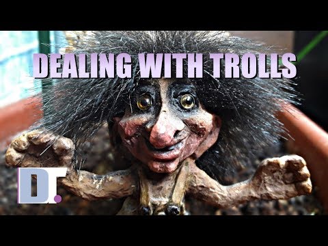 Dealing With Trolls On Social Media