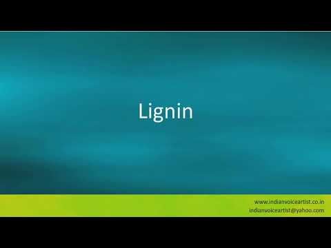 Pronunciation of the word(s) "Lignin".