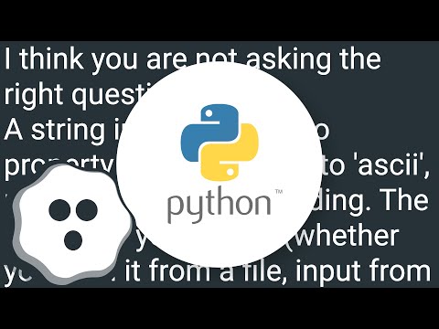 How to check if a string in Python is in ASCII?
