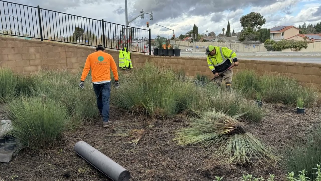 Transforming spaces with Commercial Landscaping