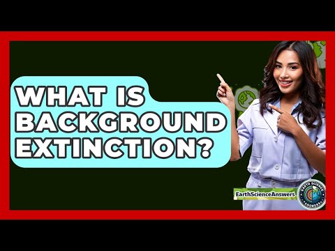 What Is Background Extinction? - Earth Science Answers
