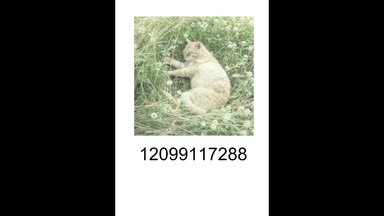 Roblox Cottagecore decals + decal IDs for Royale High/Bloxburg/etc. || Fantasy Forest