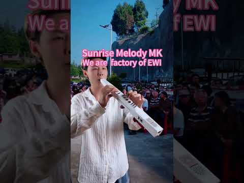 SUNRISE MELODY MK Electric Wind Instrument Sound Display