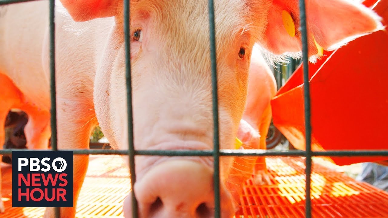 Broadcast - Courtney K. Norris