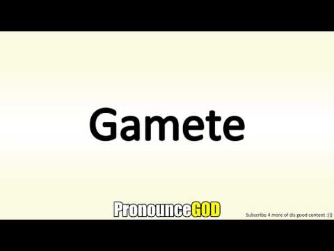 How To Pronounce Gamete
