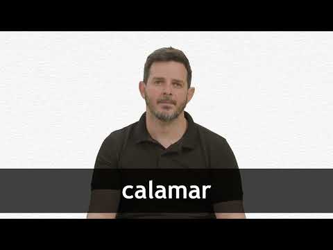 Traducción en inglés de “CALAMAR” | Collins Diccionario español-inglés