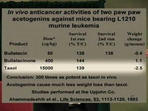 PawPaw & Cancer: From Discovery to Clinical Trials Part 7