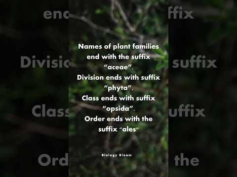 Suffixes used in classification system | aceae, phyta, opsida, ales