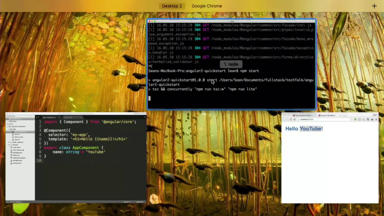Angular 2 Tutorial - Getting Started With Angular 2