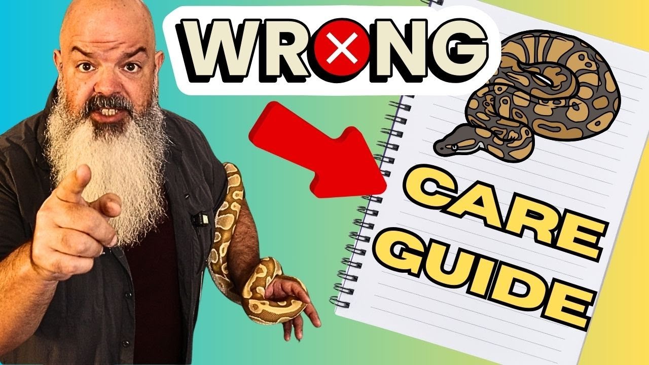 Snake Care Guides Are WRONG