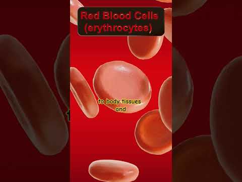 Functions of Red Blood cells #redbloodcells #redbloodcell #science #rbc