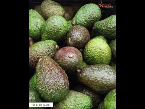 Avocado - Wholesale Price & Mandi Rate for Avocado Fruit