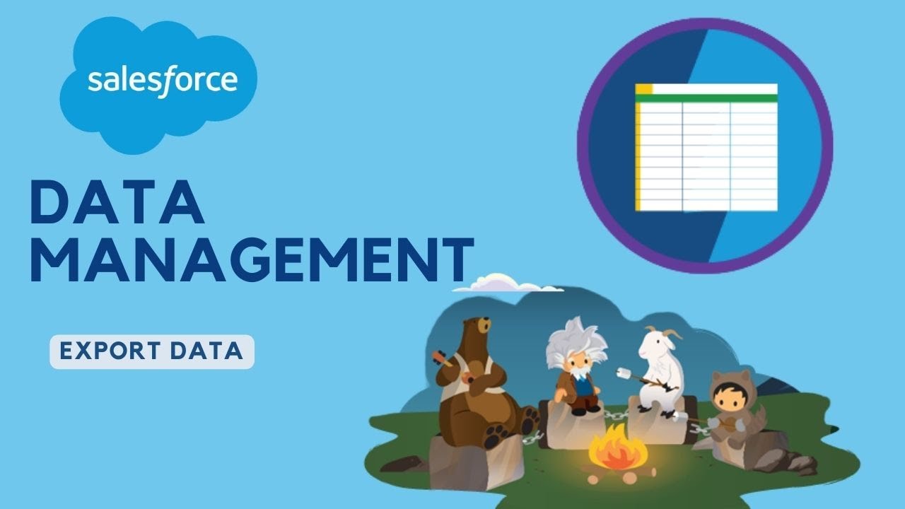 Salesforce Data Management | Export Data | Trailhead Answers