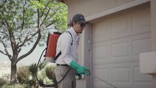 3 Best Pest Control Companies in Tempe, AZ - Expert Recommendations