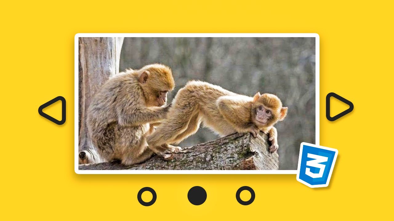 Build a Responsive Slideshow in CSS: A Step-by-Step Guide