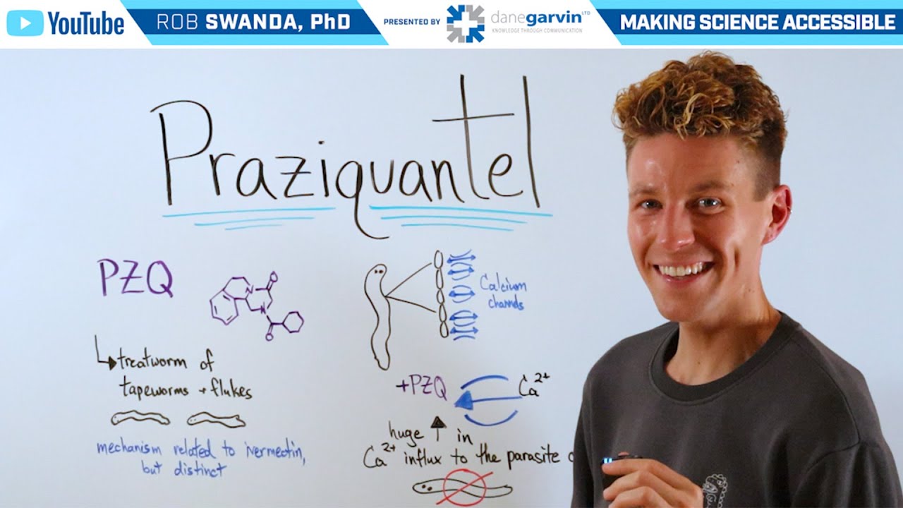 How does Praziquantel Treat Parasites?