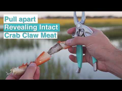 Toadfish Crab Claw Cutter - TackleDirect