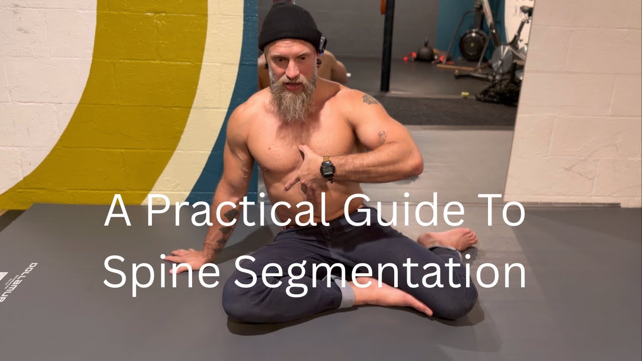 A Practical Guide To Spine Segmentation