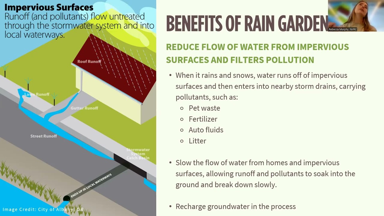 2025 Rain Garden Workshop
