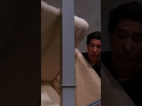 Pivot #Friends | TBS