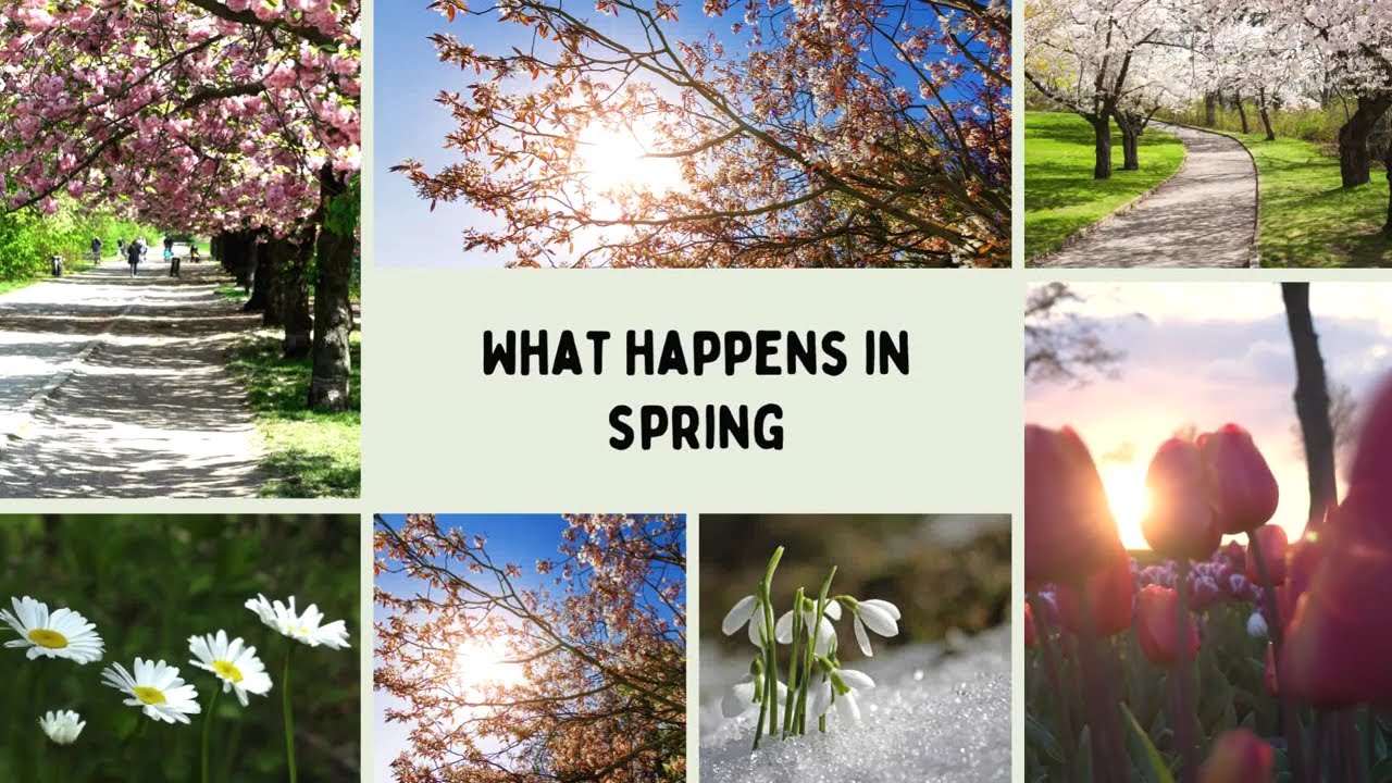 What Happens in Spring | ESL/ESOL | English Task