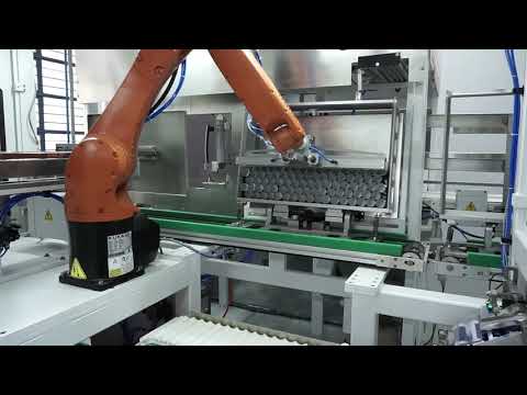 Case Packers at Best Price in India