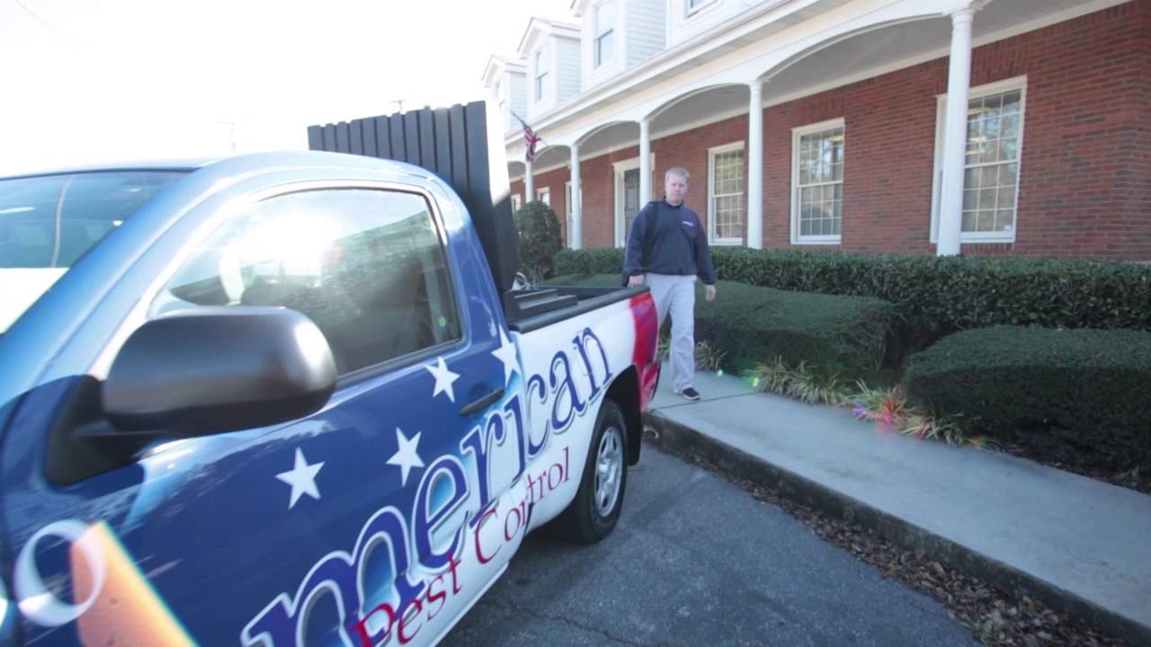 American Pest Control Patch Video